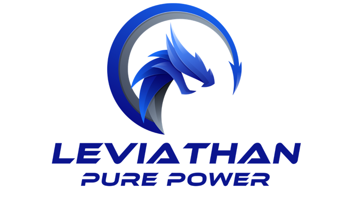 Leviathan Stacker Storage Management Systems-Rapistak Corporation